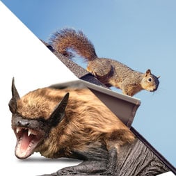 Ford's Hometown Services: Lawn Care & Pest Control Pros Worcester, MA